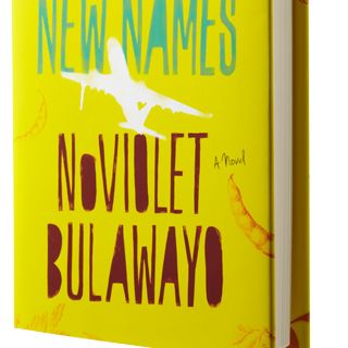 Book Review: ‘We Need New Names’ | gatica27075